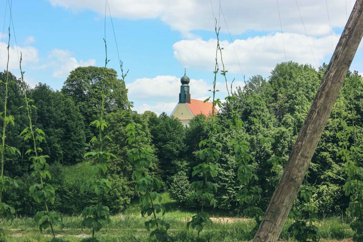 Mein Lieblingsort in der Hallertau #10: Das Wallfahrtskirchlein auf St ...